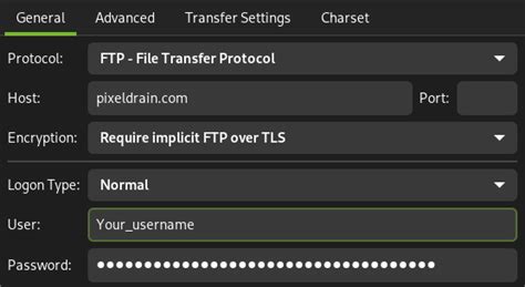 Filesystem Guide ~ Pixeldrain