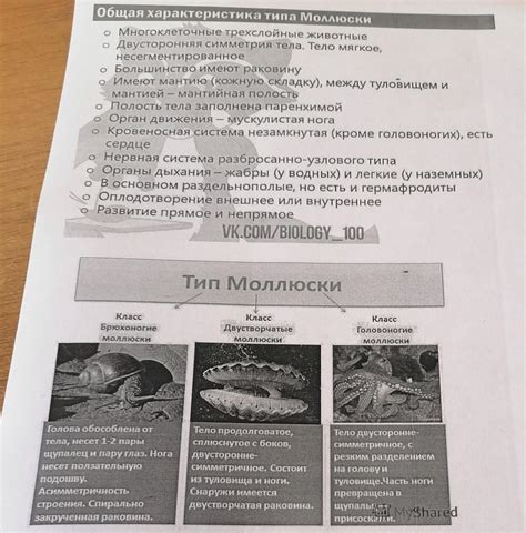 помогите тест по биологии - Школьные Знания.com