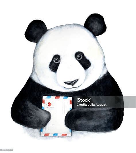 귀여운 팬더 곰 사랑 마음으로 편지 봉투를 들고 표준 크기 엽서로 사용할 수 있습니다 공휴일에 대한 스톡 벡터 아트 및 기타