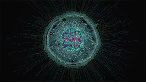Max Coopers Order From Chaos Music Video Features Hypnotic Visuals