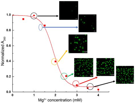 Cells Free Full Text Chromatin LiquidLiquid Phase Separation LLPS