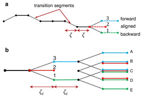 Three Choice Model A Sketch Of The Dislocation Line Composed Of