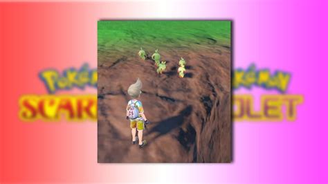 How To Get Shiny Grookey In Indigo Disk Pokemon Scarlet And Violet