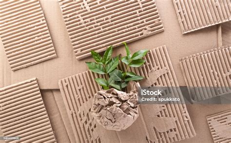 세계 환경의 날 녹색 재활용 지구의 날 생태 개념 다양한 종이 쓰레기 재료와 파스텔 배경에 식물을 심는다 보살핌에 대한 스톡 사진 및 기타 이미지 Istock