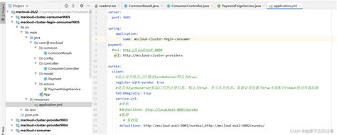 Springcloud3 Fegin实现服务调用1