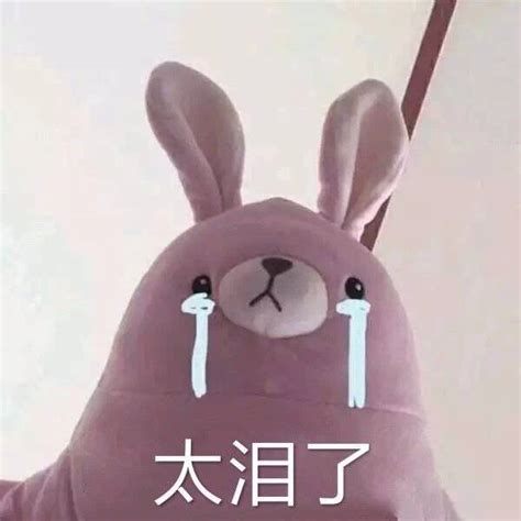表情包 忍住不哭 表情包 新浪新闻