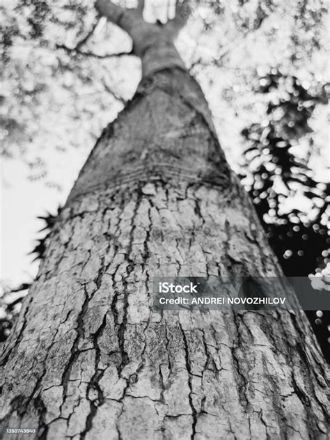 슬픈 외로운 소년은 땅에 내려다 보고 친구를 기다리거나 부모가 바쁜 동안 스윙에 앉아 여름 어린 시절 여가 우정과 사람들 개념
