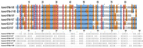 Multiple Sequence Alignment Performed By Clustalw 31 And Visualized