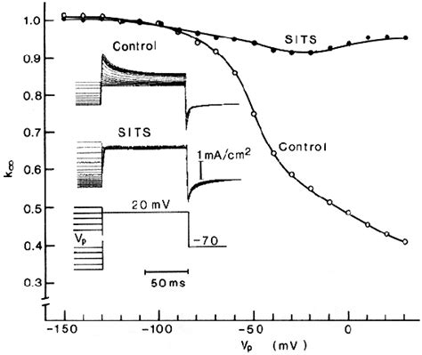 Steady State Relation Ofgk Inactivation And Voltage Before Control