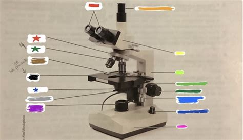 Microscope Flashcards Quizlet