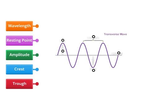 Label The Transverse Wave Labelled Diagram