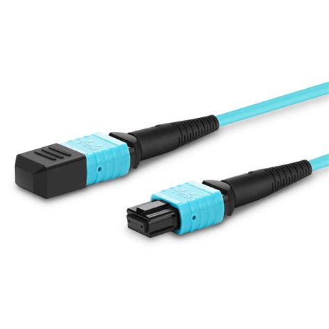 2m 7ft Mpo 12 Female To Mpo 12 Female Om3 Trunk Cable 12 Fibers