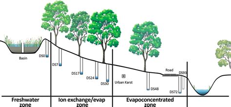 Schematic Diagram Showing Clusters Based On Water Chemistry Download