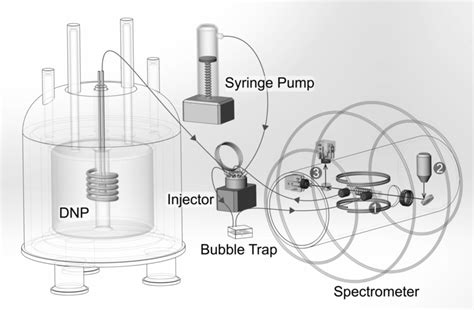 Setup Of The D‐dnp Nsor Experiments A Hot Solvent Dissolves The Download Scientific Diagram