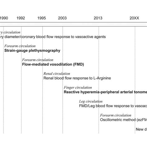 History Of The Assessment Of Endothelial Function Download