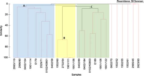 Cluster Analysis Based On Sørensen Similarity Index With Simprof Test Download Scientific Diagram