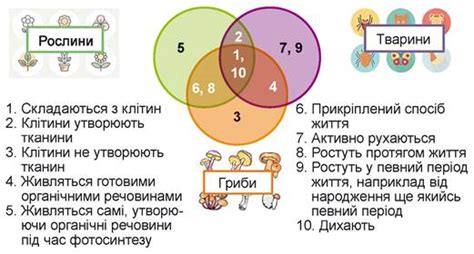 Які особливості будови різних груп організмів Пізнаємо природу 5 клас Біда