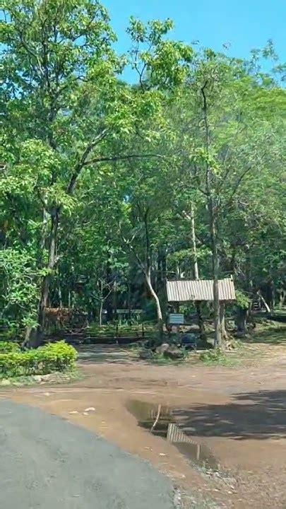 ຕາດເລາະ ແຂວງສາລະວັນ ลาวใต้ Youtube