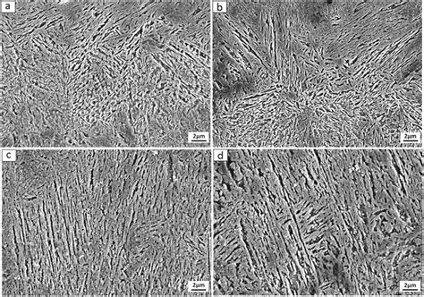 Sem Images Show The Microstructure Evolution On The Top Zone Of Molten Download Scientific
