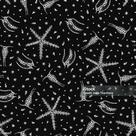 그려진 불가사리와 플랑크톤이 검은색 배경에 분리된 매끄러운 그래픽 흑백 패턴 공장 산업 건물에 대한 스톡 벡터 아트 및 기타