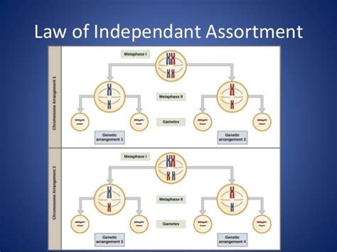 10 patterns of inheritance