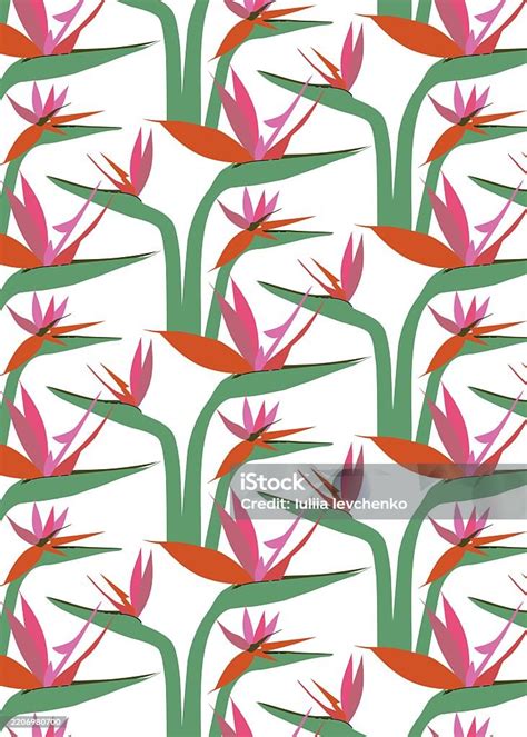 낙원의 새와 함께 완벽 한 패턴 이국적인 손으로 그린 양식화된 Strelitzia가 있는 열대 꽃 배경 패션 프린트 섬유 배경