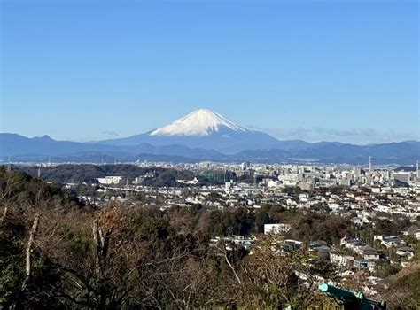 鎌倉魔去る石で不運とさよなら葛原岡神社 神社参拝と喫茶店巡りおひとりさま散歩