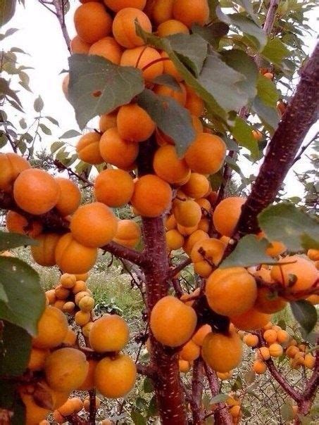 25 красивых фото из сети