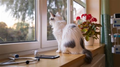 Create Truefalse Statements For A Text Ai Generator Tool By Twee Twee