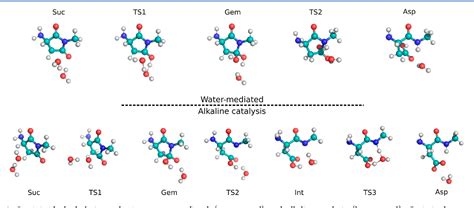 Figure 1 From Molecular Modeling Of The Deamidation Reaction In
