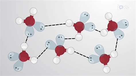 Video Hydrogen Bonds