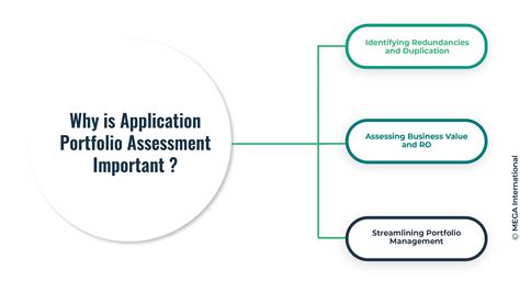 Application Portfolio Assessment Everything You Need To Know Mega