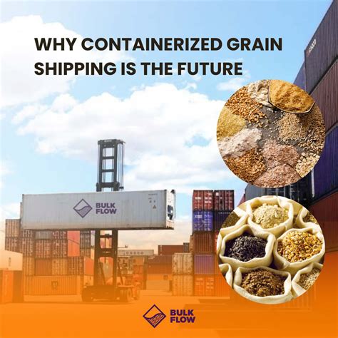 Containerization Sustainablelogistics Grainshipping Bulkflow Pestcontrol