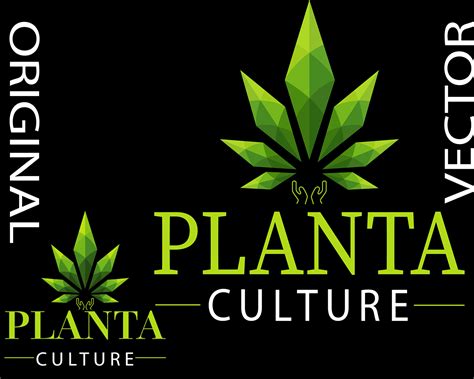 Vector Tracing On Behance