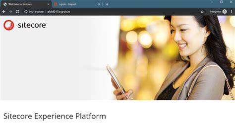 Handy Dandy Tool For Sharing Sitecore Instances Neil Killen