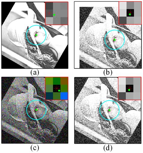 Matching Results Of The Sample Image With Gaussian Illumination
