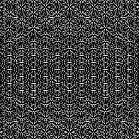 Quantum Field Theory States That All Fundamental Fields Such As The Electromagnetic Field Must