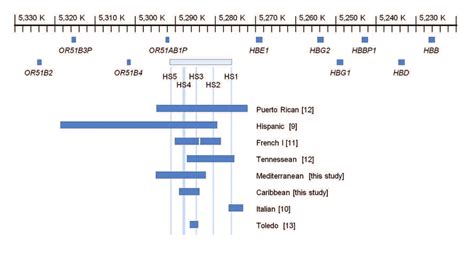 Map Of The B Globin Gene Cluster Showing The Locations Of 8 Full Or