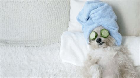 I Fasted For 5 Days Heres What Happened Vibrance Nutrition And Fitness