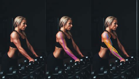 How To Learn Anatomy 5 Dos And Donts Love Life Drawing