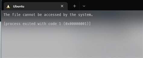 windows wsl 2 0 the file cannot be accessed by the system super user