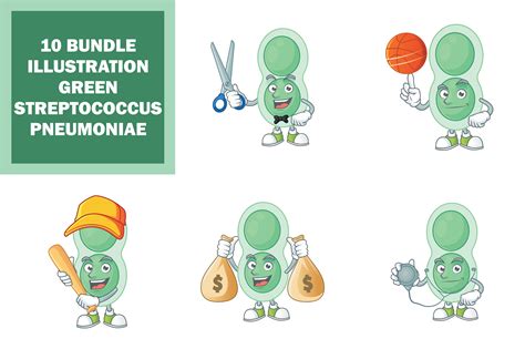 Green Streptococcus Pneumoniae Bundle Graphic By Kongvector2020