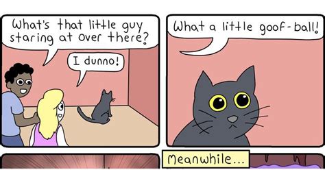 Staring Cat Comic Geeks Are Sexy