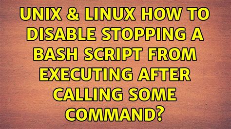 Unix And Linux How To Disable Stopping A Bash Script From Executing After Calling Some Command