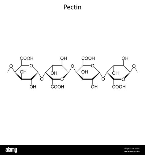 Pectin Molecule At Ian Milligan Blog
