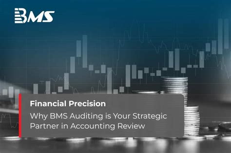 Why Bms Auditing Is Your Strategic Partner In Accounting Review Bms Auditing
