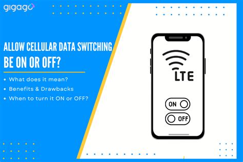 Should Allow Cellular Data Switching Be On Or Off