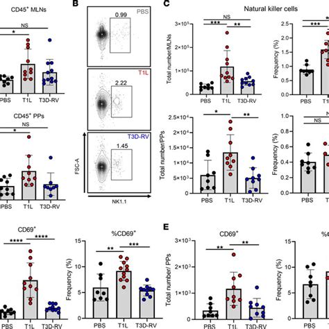 Reovirus Strains Differ In NK Cell Infiltration And General Activation