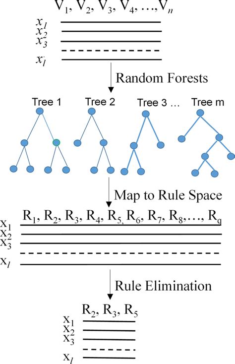 mapping samples to rule space and eliminate rules random forests model