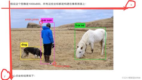 ssd目标检测训练自己的coco数据集pytorch 基于ssd的目标检测 mob64ca13f83523的技术博客 51cto博客